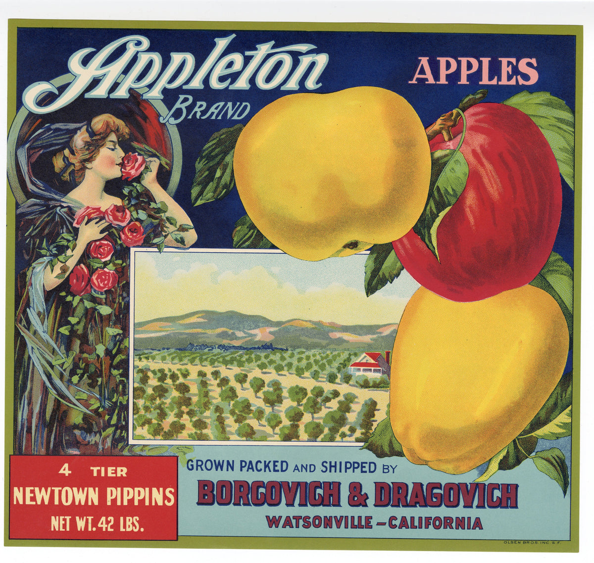 APPLETON BRAND Apple Crate Label, Watsonville, California, Art Nouveau ...